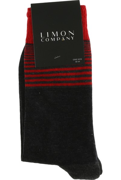 Limon Antrasit Erkek Çizgili Çorap