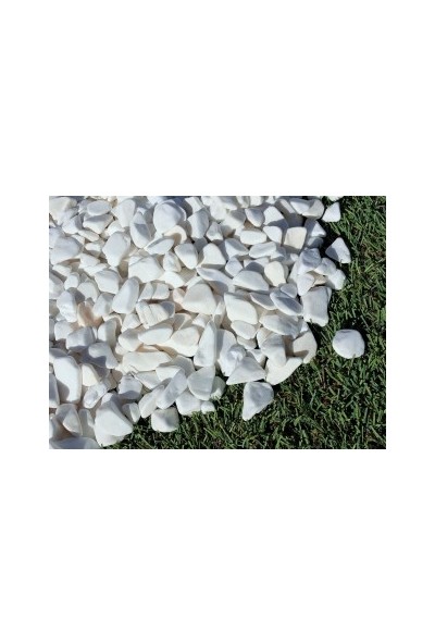 Ekodoğa Akvaryum Taşı 3 kg 1-2 cm Beyaz Dolomit Bahçe Taşı Çakıl Taşı Saksı Taşı Akvaryum Teraryum Taşı Ekodoğa Akvaryum Taşı 3 kg 1-2 cm Beyaz Dolomit Bahçe Taşı Çakıl Taşı Saksı Taşı Akvaryum Teraryum Taşı