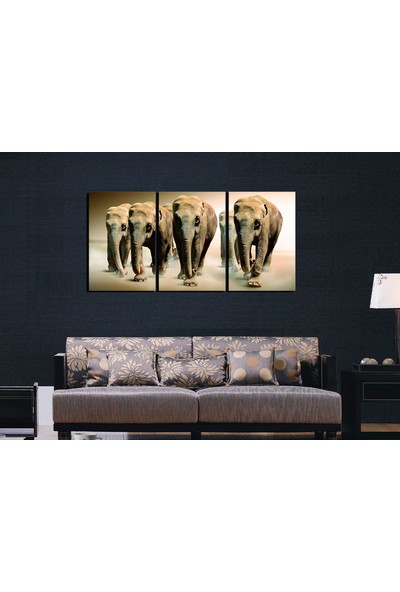 Bi Baksan Ya Dekoratif Duvar Dekorasyon 3 Parçalı Fil Görselli Mdf Tablo Seti 120X60 cm Bi Baksan Ya Dekoratif Duvar Dekorasyon 3 Parçalı Fil Görselli Mdf Tablo Seti 120X60 cm