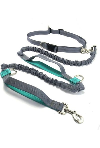 Pet Ürün Köpek Tasma Koşu Kemer Koşu Spor Ayarlanabilir Naylon Köpek Halat Yansıtıcı Şerit ile Evcil Hayvan Aksesuarları Eller Ücretsiz | Tasmalar Pet Ürün Köpek Tasma Koşu Kemer Koşu Spor Ayarlanabilir Naylon Köpek Halat Yansıtıcı Şerit ile Evcil Hayvan Aksesuarları Eller Ücretsiz | Tasmalar