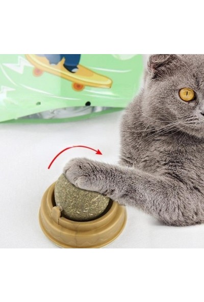 Horasan Ticaret Kedi Nanesi Cat Mint Oyun Topu