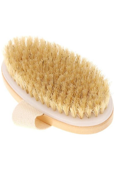 DarkSent At Kılı Fırçası DarkSent At Kılı Fırçası