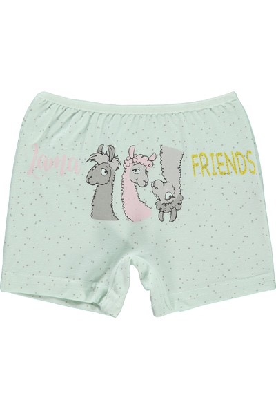 Donella Kız Çocuk Boxer 2-10 Yaş Açık Mint