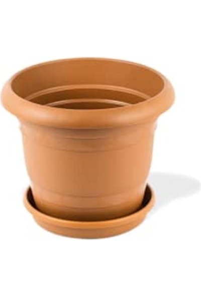 2 No Toprak Saksı -Takım