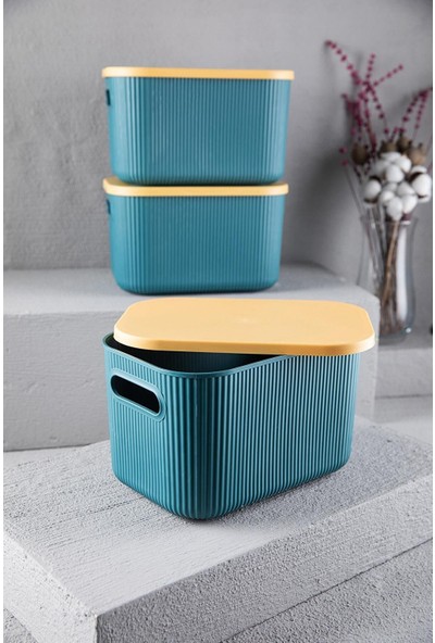 Bayev 3 Adet Storage 6 Lt Yeşil, Çok Amaçlı Dolap Içi Düzenleyici Kapaklı Kutu, Dekoratif Kutu Bayev 3 Adet Storage 6 Lt Yeşil, Çok Amaçlı Dolap Içi Düzenleyici Kapaklı Kutu, Dekoratif Kutu