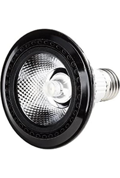 Cata PAR30 Ampul, Gün Işığı