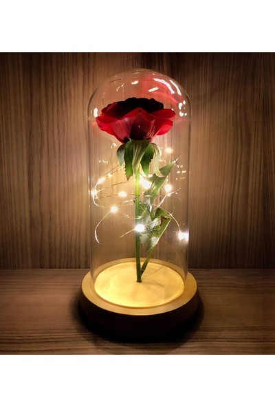 Hector Emporium Işıklı Cam Fanus Solmayan Gül Hector Emporium Işıklı Cam Fanus Solmayan Gül