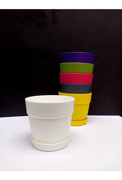 Leo Garden Manolya-10-Saksı-5'li