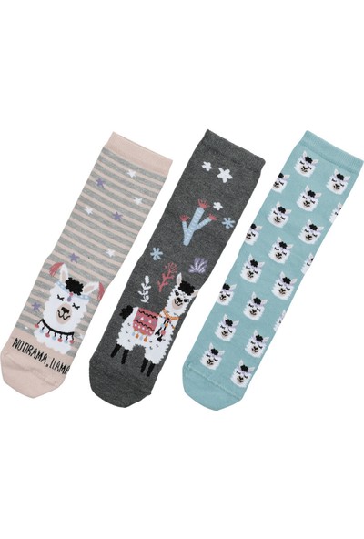 Lama 3 Lu Skt-W 2pr Çok Renkli Kadın Soket Çorap
