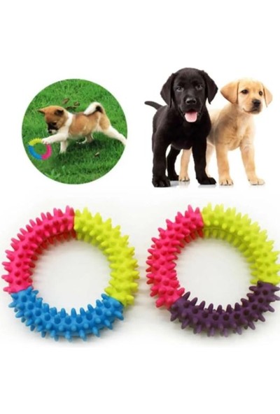 Köpek Isırma Çemberi Diş Kaşıma Aparatı Köpek Oyuncağı (12 Cm) Köpek Isırma Çemberi Diş Kaşıma Aparatı Köpek Oyuncağı (12 Cm)