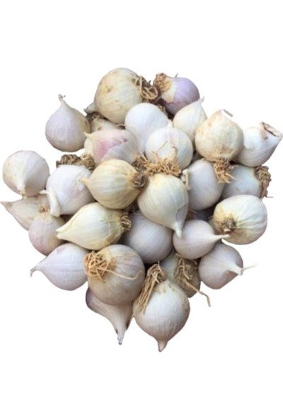 Yedi Değirmen Yerli Mürdük Sarımsağı 250 gr