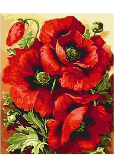 Canvas Gelincik Demeti Sayılarla Boyama Seti Kasnaklı 70 x 90 cm Canvas Gelincik Demeti Sayılarla Boyama Seti Kasnaklı 70 x 90 cm