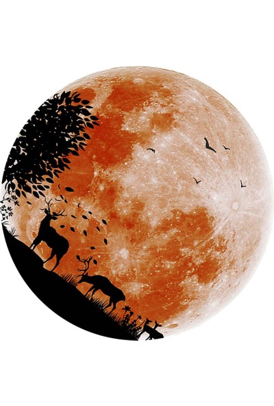 Salmoph 30 cm Çocuk Odası Duvar Sticker (Yurt Dışından) Salmoph 30 cm Çocuk Odası Duvar Sticker (Yurt Dışından)