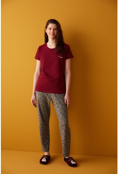 Penti Çok Renkli Lumos Pijama Takımı-Harry Potter Koleksiyonu