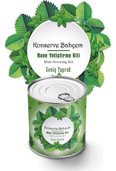 Buffer® Konserve Bahçem Nane Yetiştirme Kiti