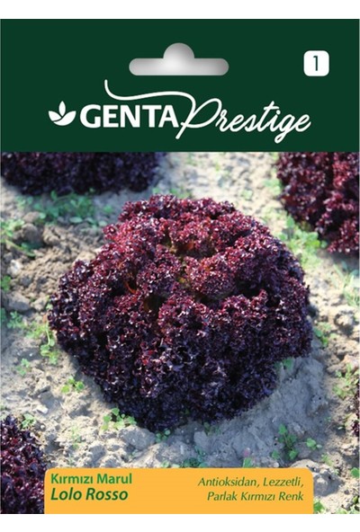 Genta Pretsige Kırmızı Marul (Lolo Rosso) Tohumu Genta Pretsige Kırmızı Marul (Lolo Rosso) Tohumu