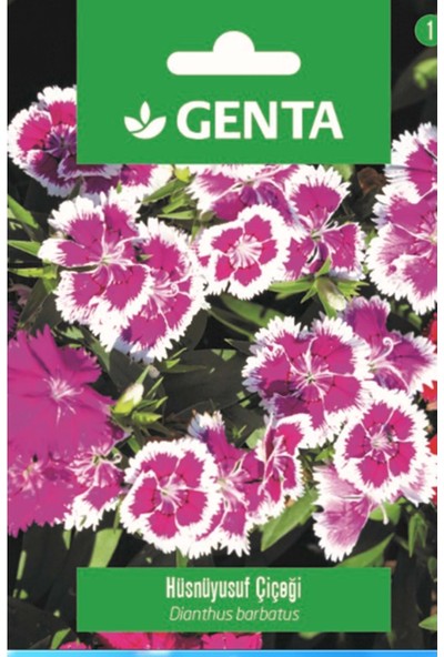 Genta Hüsnüyusuf Çiçeği Tohumu, Hüsnü Yusuf Çiçeği Genta Hüsnüyusuf Çiçeği Tohumu, Hüsnü Yusuf Çiçeği