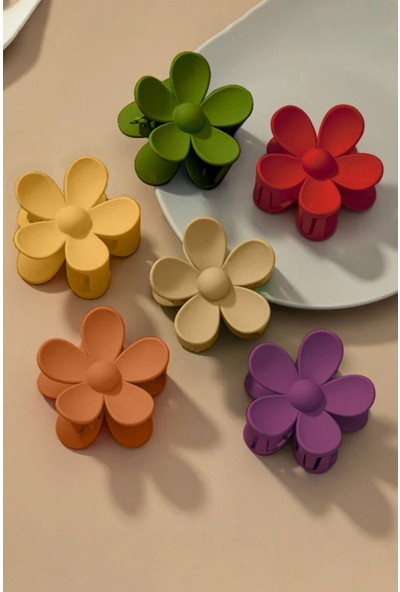 Kadın Trend 6'lı Renkli Daisy Papatya Çiçek Mandal Toka Seti