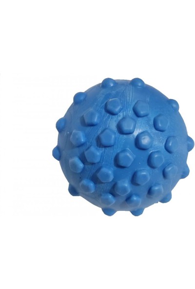 Hosell Tüm Vücut Masaj Topu