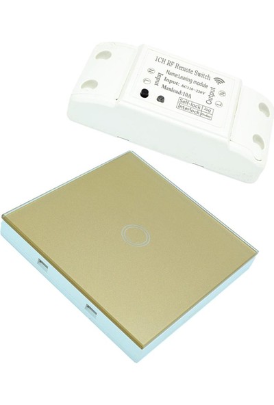 Kablosuz Uzaktan Kumanda Anahtarı / Tek 220V Gecikme Anahtarı