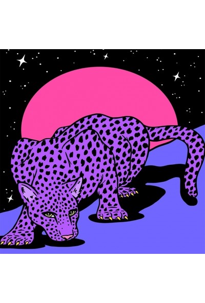Parla Canvas Uzaydaki Leopar Sayılarla Boyama Seti Duvar Sticker Rulo 50 x 65 cm Parla Canvas Uzaydaki Leopar Sayılarla Boyama Seti Duvar Sticker Rulo 50 x 65 cm