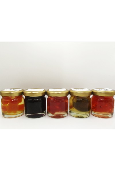 Katkısız Koruyucusuz Reçel Tanışma Paketi 5 x 50 gr Katkısız Koruyucusuz Reçel Tanışma Paketi 5 x 50 gr
