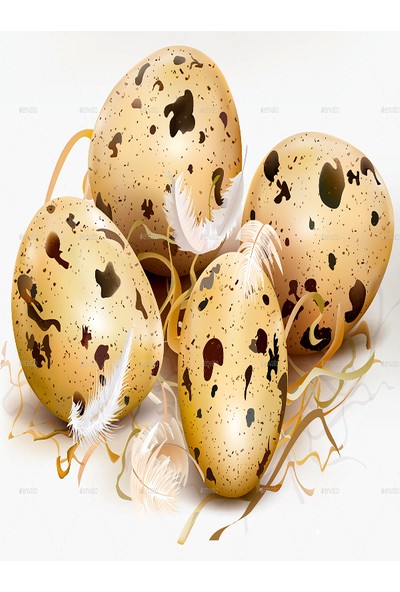 Kanat Organik Bıldırcın Yumurtası ( Sofralık) Kanat Organik Bıldırcın Yumurtası ( Sofralık)