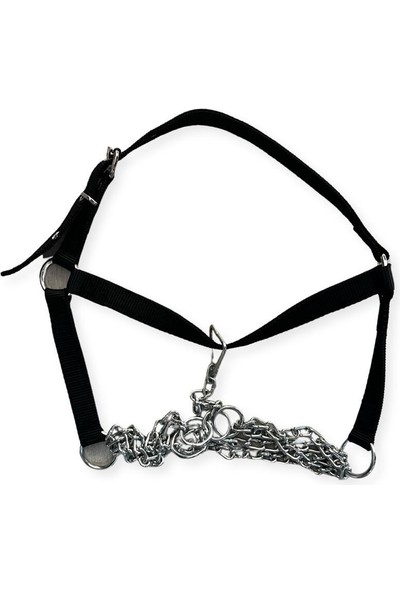 Ekkia Zincirli Yular Ekkia Zincirli Yular