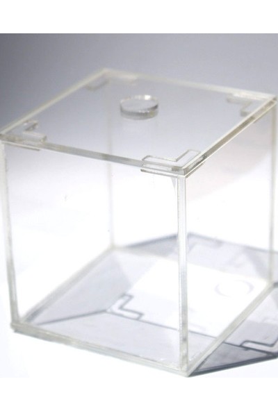 3 mm 15*15*15 cm Şeffaf Pleksi Kutu Menteşesiz Üstten Kapaklı