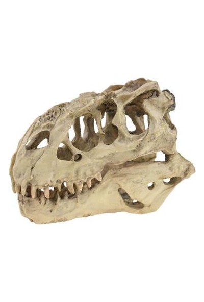 Tyrannosaurus Rex Kafatası Mağı Peyzaj Dekorasyon Balık Tankı Reçine Dinozor Kafatası Modeli Süslemeleri Ev Dekor | Süslemeleri Tyrannosaurus Rex Kafatası Mağı Peyzaj Dekorasyon Balık Tankı Reçine Dinozor Kafatası Modeli Süslemeleri Ev Dekor | Süslemeleri
