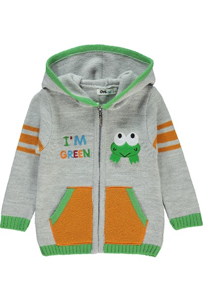 Civil Boys Erkek Çocuk Kapüşonlu Hırka 2-5 Yaş Gri