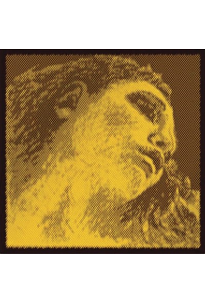 Evah Pirazzi Gold Viola Takım Tel