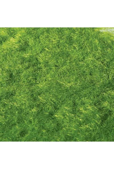 Eshel Açık Yeşil Çim Tozu