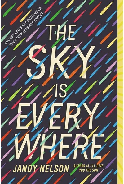 The Sky is Everywhere - Jandy Nelson