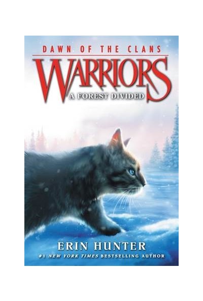 Warriors: Dawn of the Clans 5: A Forest Divided - Erin Hunter