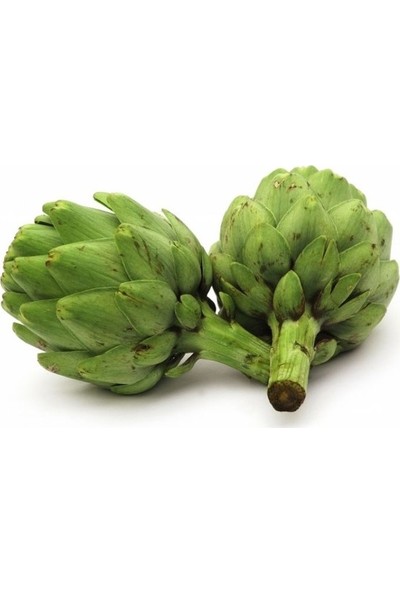 Arzuman Enginar Tohumu 20'li