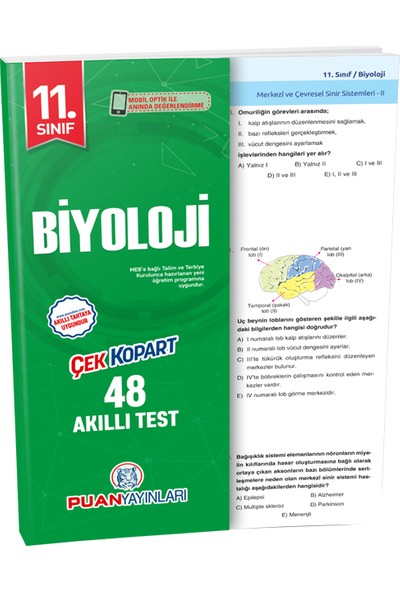 Puan Yayınları 11. Sınıf Biyoloji Akıllı Test Puan Yayınları 11. Sınıf Biyoloji Akıllı Test