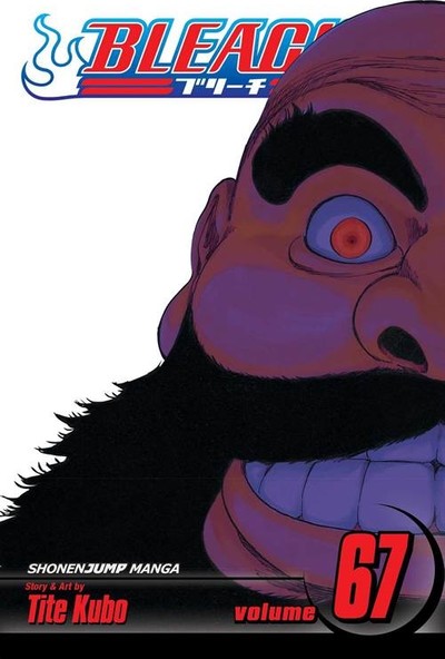 Bleach 67 - Tite Kubo