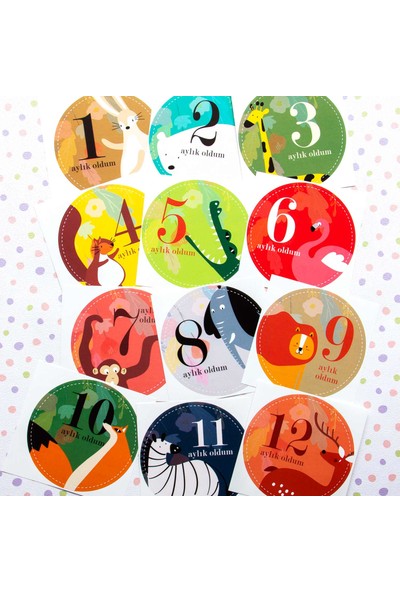 JUNO PAPER Juno Hamile ve Bebek Fotoğraf Çekim Etiketleri - Zoo JUNO PAPER Juno Hamile ve Bebek Fotoğraf Çekim Etiketleri - Zoo