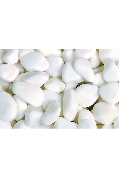 Woddy Akvaryum İçin Çakıl Taşı Orta Boy Beyaz