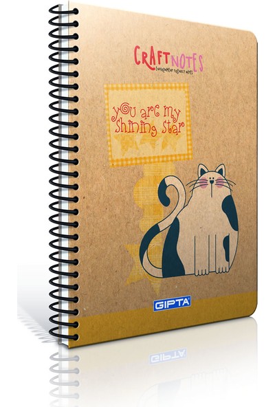 Gıpta Craft Spiralli Sert Kapak Defter A6-100 Yp.Çizgili (Stand)