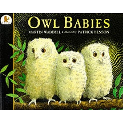 Owl Babies - Martin Waddell Kitabı ve Fiyatı - Hepsiburada