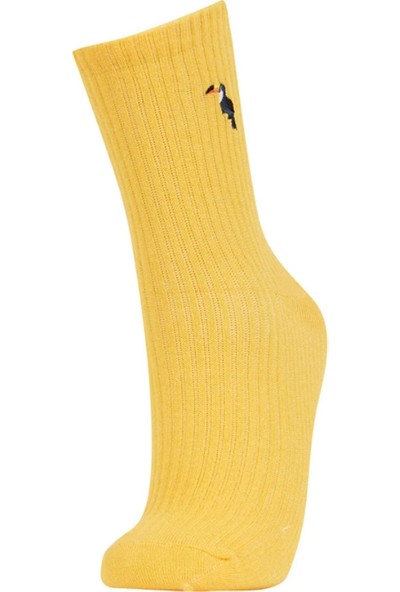 DeFacto Kadın Pamuklu Uzun ÇORAP Y5667AZNS DeFacto Kadın Pamuklu Uzun ÇORAP Y5667AZNS