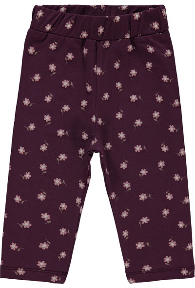 Civil Baby Kız Bebek Uzun Tayt 6-18 Ay Mor