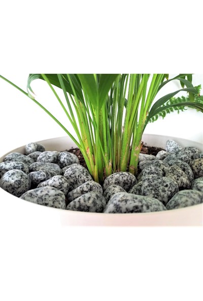 Ekodoğa granit Benekli Dolomit Taş 25 kg 2-4 cm Benekli Dolomit Dere Taşı Çakıl Taşı Bahçe Taşı Dekoratif Ekodoğa granit Benekli Dolomit Taş 25 kg 2-4 cm Benekli Dolomit Dere Taşı Çakıl Taşı Bahçe Taşı Dekoratif
