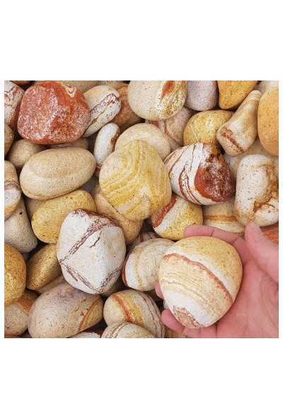 Ekodoğa Sarı Çizgili Dolomit 2 kg 6-10 cm Sarı Dolomit Taş Dere Taşı Çakıl Taşı Bahçe Taşı Akvaryum Taşı Ekodoğa Sarı Çizgili Dolomit 2 kg 6-10 cm Sarı Dolomit Taş Dere Taşı Çakıl Taşı Bahçe Taşı Akvaryum Taşı
