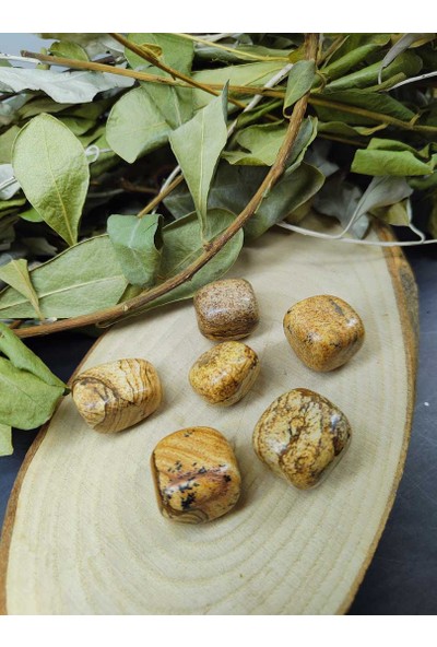 Doğal Taş Delisi Odun Jasper Doğal Taş Tımbıl Doğal Taş Delisi Odun Jasper Doğal Taş Tımbıl