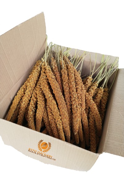 Kızıl Dal Darı 1 kg