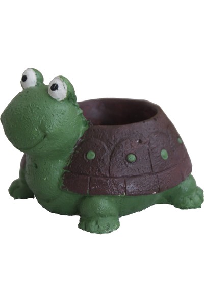 M and B Kaplumbağa Kaktüs Saksısı