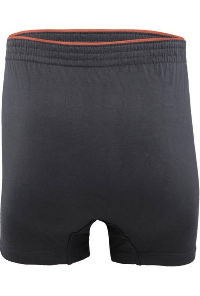 Tutku Penye Düz Boxer 117 3'lü Paket | Füme